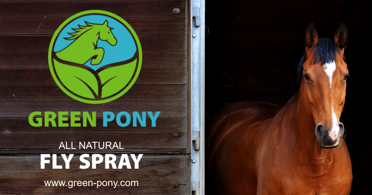 Products in the Works – Green Pony